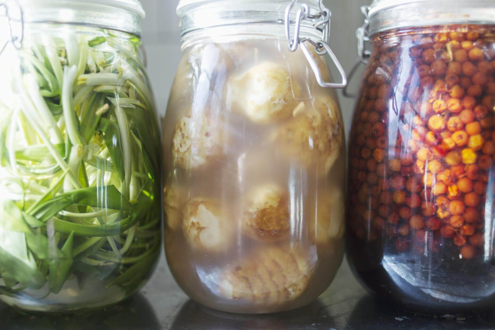 Fermented Ingredients in Skincare - Reviva Labs