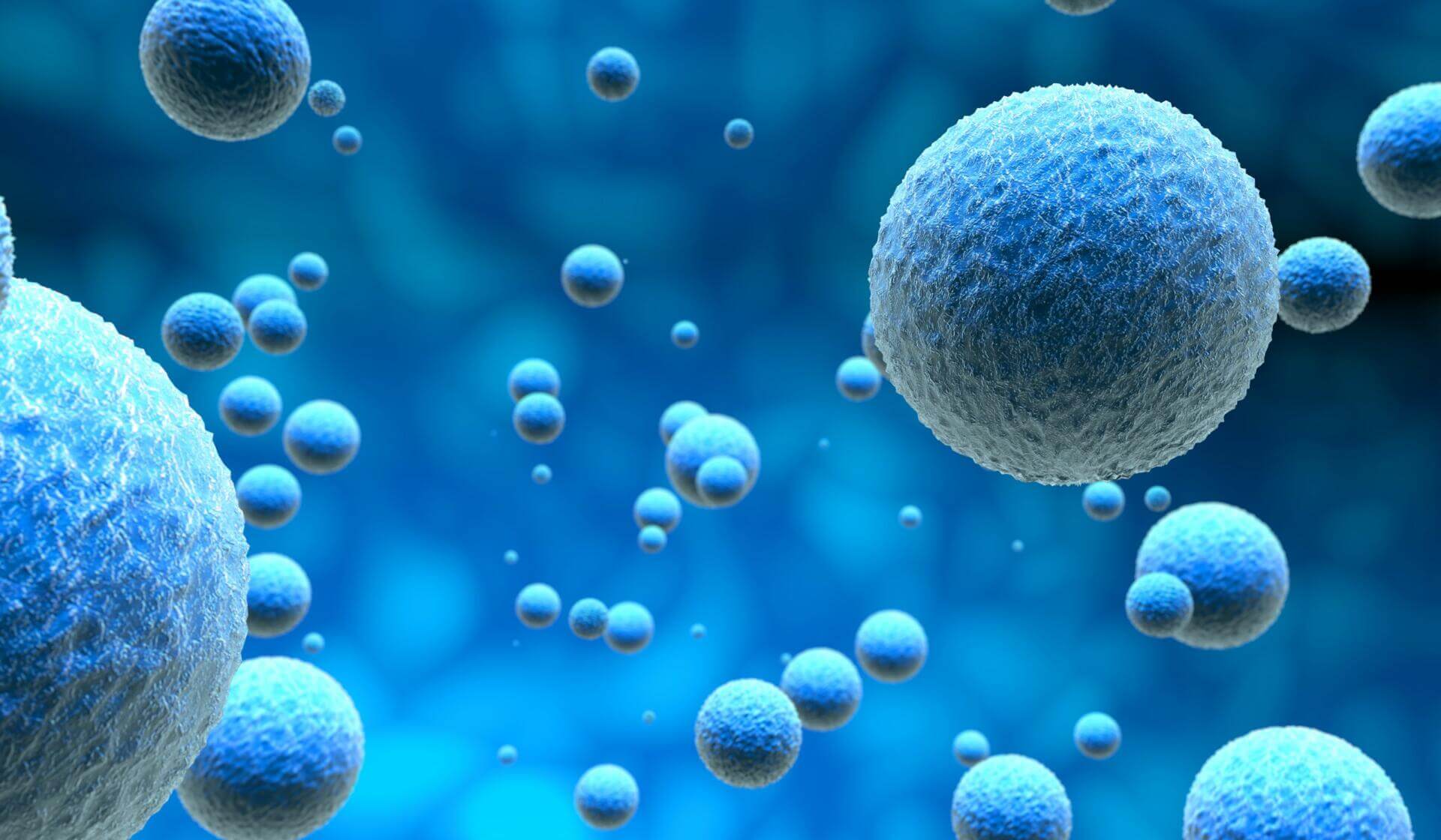 The Immune System and Skin Health: A Complex Relationship - Reviva Labs