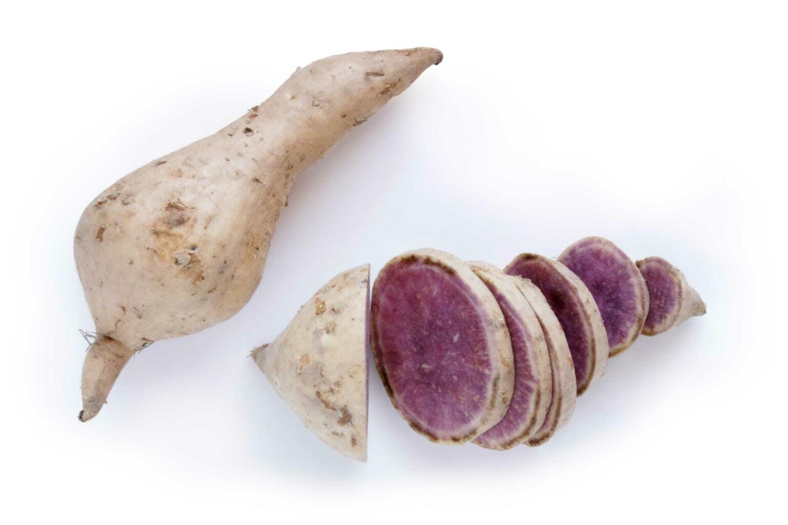 The Hidden Skin Benefits of Dioscorea Villosa Root Extract (Wild Yam ...