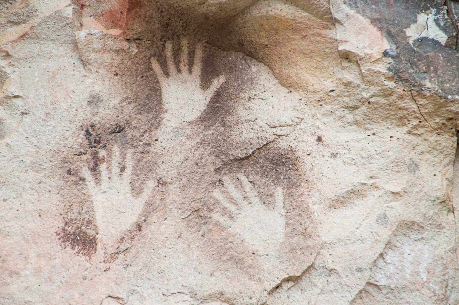 Caveman Skincare: TikTok’s Zero-Product Trend Explained